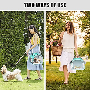 Small Animal Carrier Bag, Upgraded Portable Guinea Pig Carriers, Transparent Hamster Carrying Case, Reptile Rat Rabbit Bearded Dragon Hedgehog Carrier Bag for Travel, Hiking, Walking, Outdoor (Green)