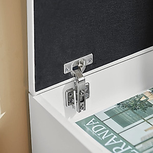 SoBuy Shoe Storage Bench for Entryway, Shoe Rack Shoe Cabinet with Lift Up Bench Top and Padded Cushion Hallway, Grey, FSR25-W