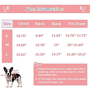 French Bulldog Clothes, Doggie Hoodie Sweatshirt, Dog Sweater for Small Medium Dogs Cats, Dog Hooded Jackets for Pug English Boston Terrier Bully Pitbull Corgi, Chihuahua, Dog Clothes Costume