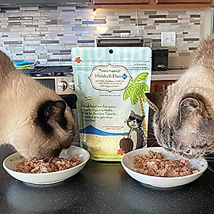 Cocotherapy Ctt-0014 Hairball Plus Fiber For Cats (1 Pouch), 7 Oz