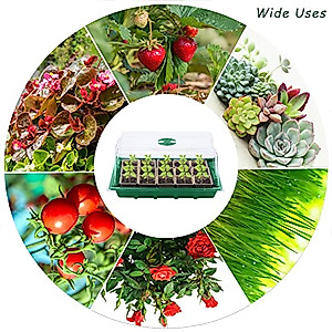 Hahood 4 Pack Seed Starter Tray Kit, 120 Square Seed Peat Pots for Seedlings with Plants Labels, Planting Tools, Plastic Growing Germination Trays with Lids for Indoor Outdoor Gardening, Green