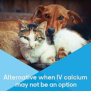 Calcium Now - Oral Calcium for Whelping Dogs (30 ml) - Dog & Cat Calcium Supplement Paste - Lots of Love