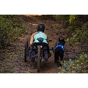 Ruffwear, Pack Out Bag, Pick-up Bag Holder and Dispenser for Dog Walking, Basalt Gray, Large