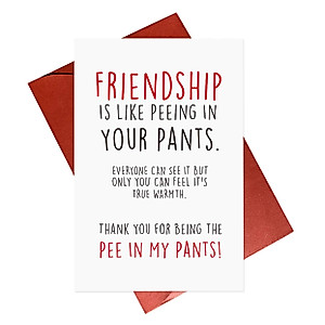 Gonzey Funny Best Friend Birthday Cards,Friendship Is Like Peeing In Your Pants