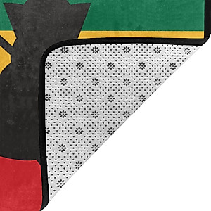 Rastafarian Flag with Lion Judah Area Rugs Floor Carpet Doormat Floor Mat Entrance Rug Throw Rugs Carpet for Front Door Living Room Kitchen Bedroom Garden 36"x24" Inch