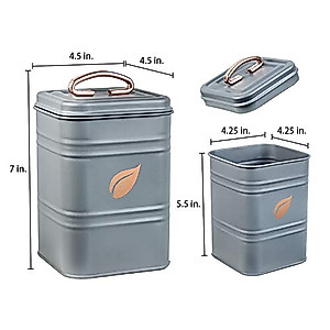 Saf-Care Design Canister Kitchen Cabinet Food Storage Containers, Pack of 3 Silver
