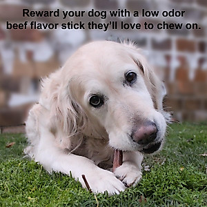 Puppy In Training Beef Collagen Sticks for Dogs, Bully Stick and Rawhide Alternative, All Natural, Teething Chew for Puppies, Low Odor, 6 in, 5 ct Pack