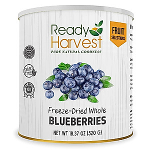 Ready Harvest Freeze-dried Blueberries | Blueberries Freeze-dried Fruit Snacks | Healthy Snacks Trail Mix | Camping food, School Snacks or Emergency Food Supply 30 Years | #10 Can