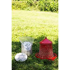 New Country Organics | Flock Perfect Starter Grit for Chicks to Help aid in Digestion | 8 lbs