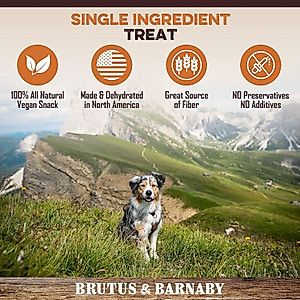 Sweet Potato Slices - Dog Treats - Single Ingredient Grain Free for Dogs, Best High Anti-Oxidant Healthy 100% Natural Thick Cut Dried Sweet Potato Dog Treats With No Added Preservatives (8oz)