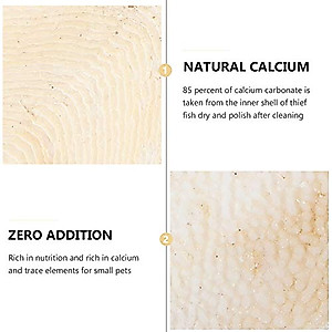 TEHAUX Bird Cuttlebone for Parakeets, Natural Cuddle Bone, Chewing Cuttlefish Bone for Sharp Beaks, Natural Birds Calcium Suitable for Parrot Cockatiels Budgie Conures