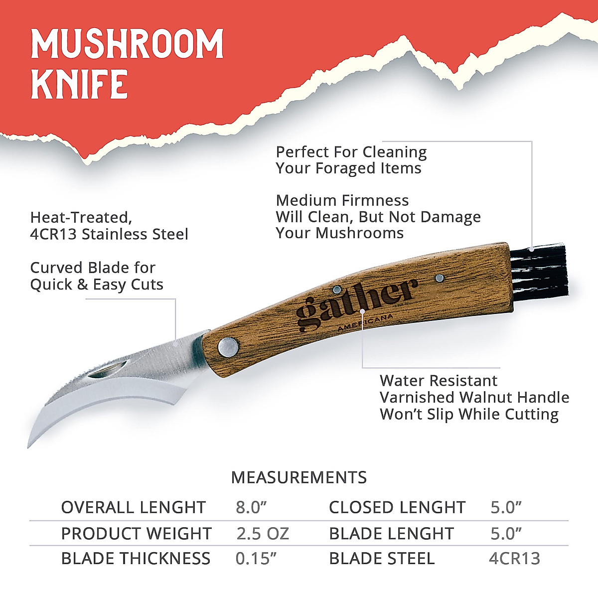 Gather Americana Mushroom Foraging Knife - 3 Inches High Carbon Steel Blade - Boar-Bristle Brush and Walnut Handle