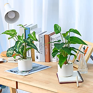 CEWOR Artificial Plants Indoor,2 Pack,11.8 Inch, Fake Plants in Ceramic Pot,Faux Green Leaf Plant with Modern White Planter,Desk Shelf Office Room Home Decoration Indoor