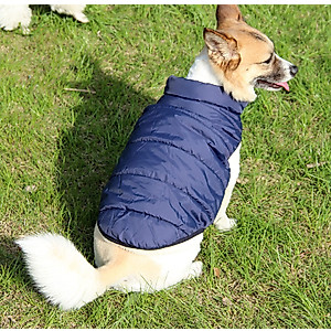 JoyDaog 2 Layers Fleece Lined Warm Dog Jacket for Winter Cold Weather,Soft Windproof Medium Dog Coat,Blue L