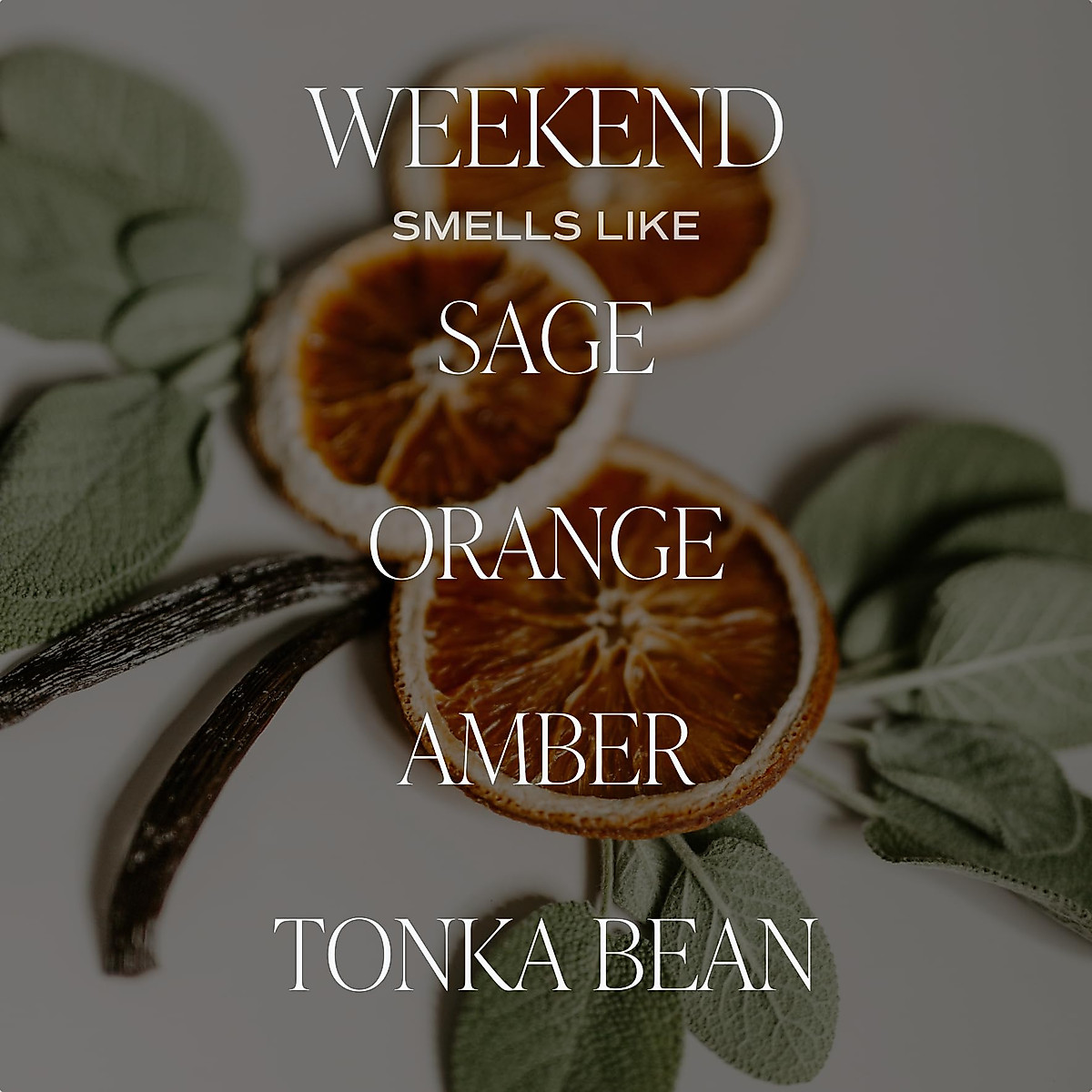 Sweet Water Decor Weekend Reed Diffuser Set for Home - Sage, Orange, Amber, Tonka Bean Scented Reed Diffusers - Air Freshener Lasts 4+ Months, Made in the USA
