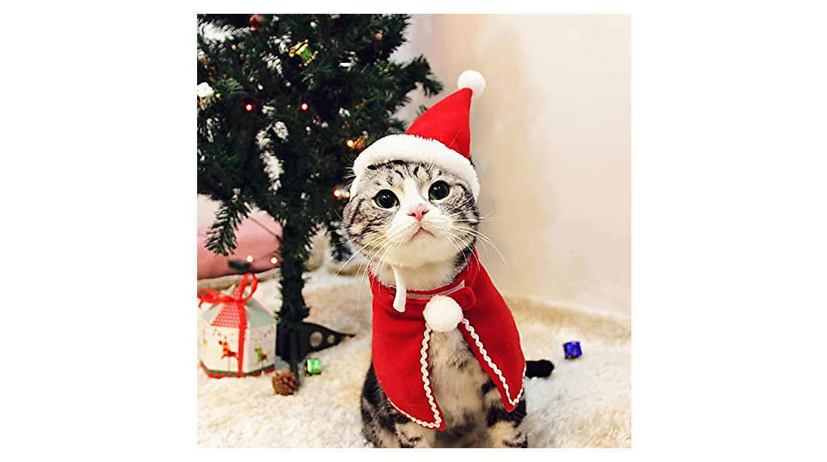 Adorable Cat Christmas Costume Set for Festive Fun