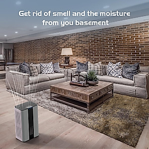 COLAZE Dehumidifiers for Home, 850 Sq.Ft Dehumidifier for Room Bathroom Bedroom RV Closet, 85 OZ Water Tank, Two Working Modes with Auto Shut Off, 7 Colors LED Light