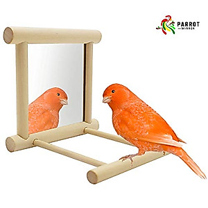 Blessed family Bird Parakeet Mirror for Cage,Parrot Perch Stand,Wooden Hummingbird Swing Toy,Parakeet Accessories for Cockatiels Conure Finch Lovebird Canary African Grey Macaw