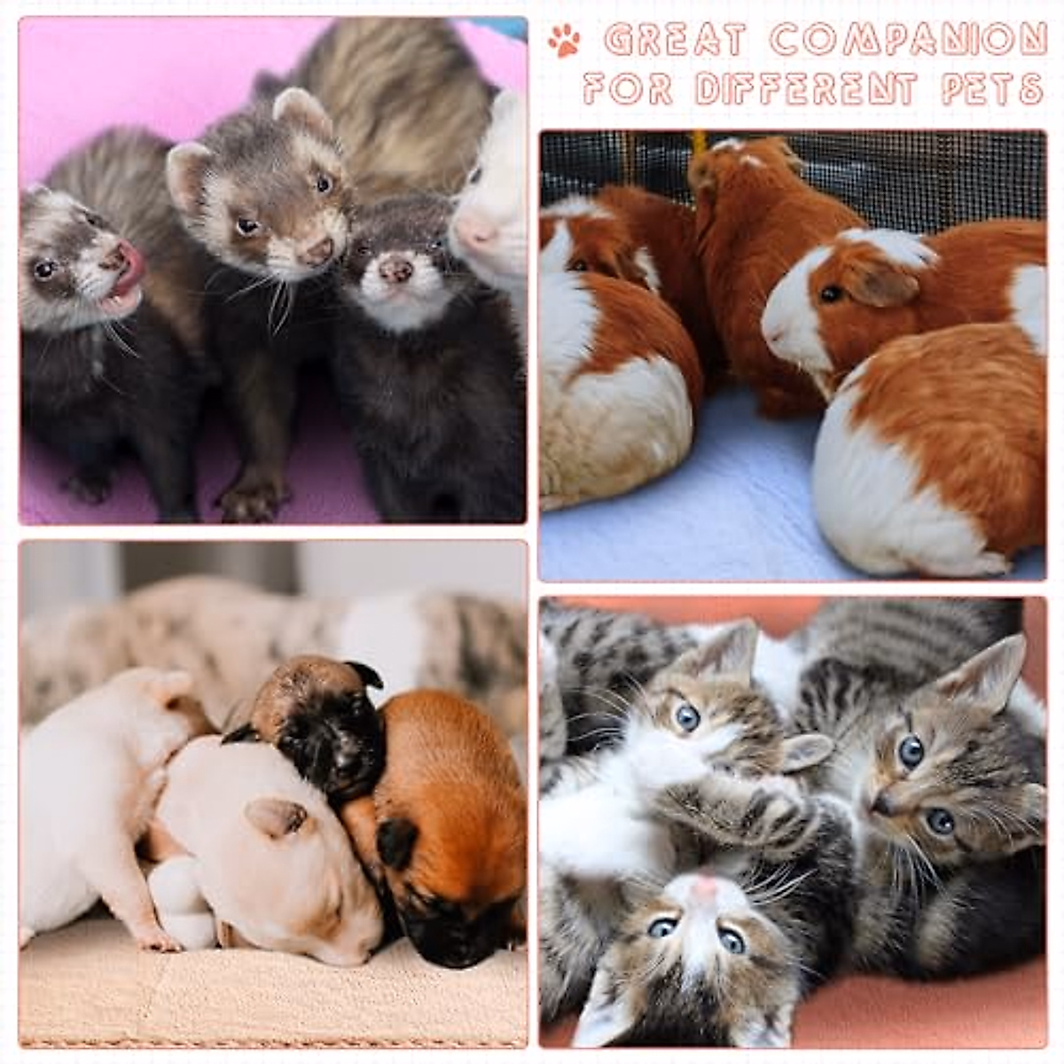 Panelee 20 Pcs Reusable Puppy Pads Waterproof Guinea Pee Pad Washable Pee Pads for Dogs Fleece Cage Liner Blankets Accessories Small Animals Bedding Mats Sleep Mat Pad Cover (Multicolor,18x24 in)