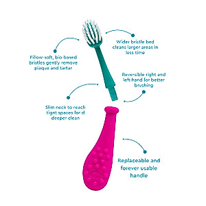 RADIUS Big Kidz Forever Brush Replaceable Head Toothbrush for Children, 6 Years and Up, BPA Free ADA Accepted for Growing Teeth and Gums - Right and Left Handed, Extra Soft - Pack of 1