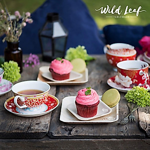 Disposable Palm Leaf Plates 6 Inch / 25 Pack. All Natural Compostable, Biodegradable and Eco Friendly Dessert Party Plates - Comparable to Bamboo or Wood - Great for Outdoor Parties, Weddings and BBQs