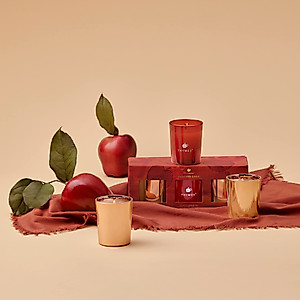 Thymes Simmered Cider Aromatic Votive Trio - Set of Three Votive Candles - Scented Candles with Notes of Freshly Pressed Apple, Crushed Clove, and Cardamom - Luxury Home Fragrance (2 oz Each)