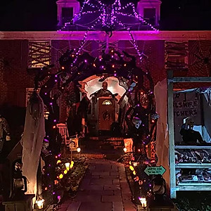 Dazzle Bright Fairy String Lights, Total 40FT 120LED Copper Wire Battery Operated Waterproof Lights, Halloween Decorations for Indoor Home Outdoor Garden Patio Party Decor (Purple, 2)