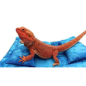 Chaise Lounge for Bearded Dragons, Blue Heaven Batik Fabric