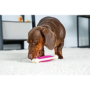 Hartz Chew 'n Clean Tuff Bone Bacon Scented Dental Dog Chew Toy - Medium