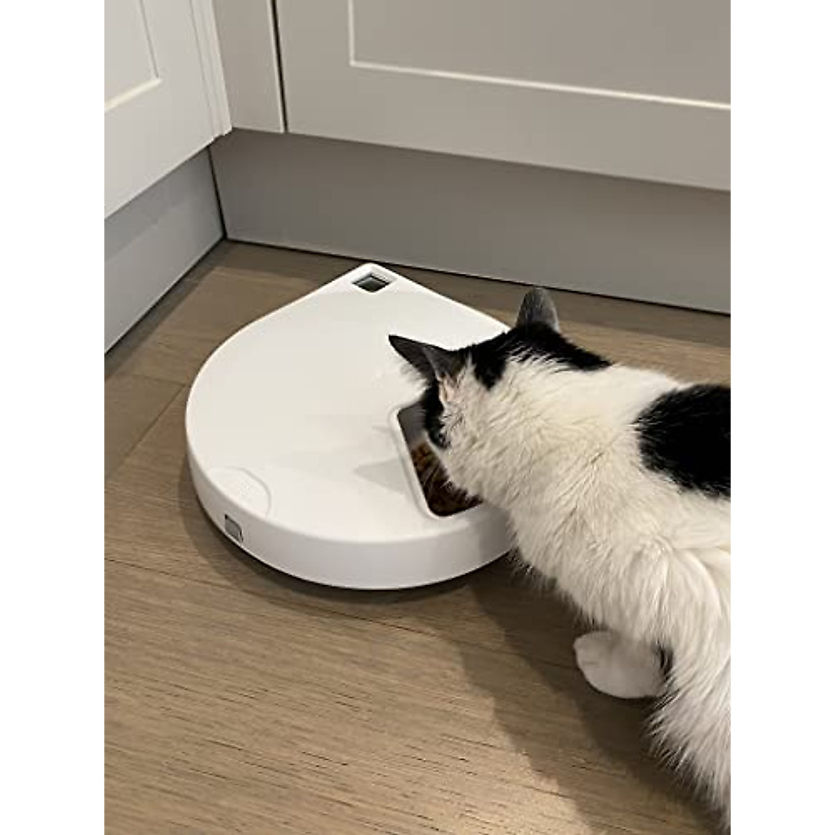 Cat Mate C500 Five-Meal Automatic Pet Feeder with Stainless Steel Bowl Inserts