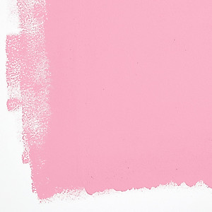 BACKDROP | Premium Interior Paint | Standard Semi Matte, Low Sheen Finish | Self-Priming, Low VOC, Green Wise Certified | BARBIE™ DREAMHOUSE™ PINK – Barbie™ Pink | 0.5 Gallon