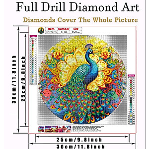EIBEILI Diamond Painting Kits for Adults Mandala Peacock DIY 5D Diamond Art Kits for Beginners Full Drill Diamond Dots Crystal Craft Kits for Home Wall Art Bedroom Decor Gifts 11.8x11.8 inch