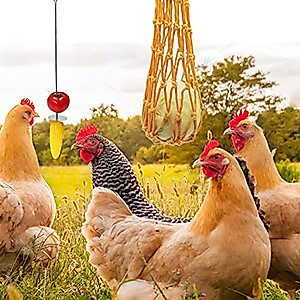 PINVNBY Chicken Toys Set Hens Xylophone Toy with 8 Metal Keys Chook Suspensible Wooden Swing Ladder Chick Veggies Skewer Fruit Holder Hanging Feeder for Chicken Coop Accessories Supplies (Suit 2)