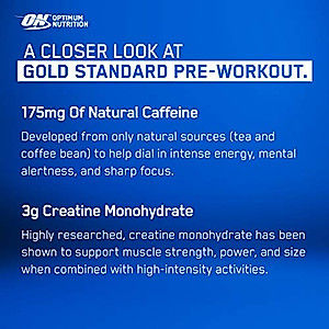 Optimum Nutrition Gold Standard Pre-Workout Fruit Punch 300g