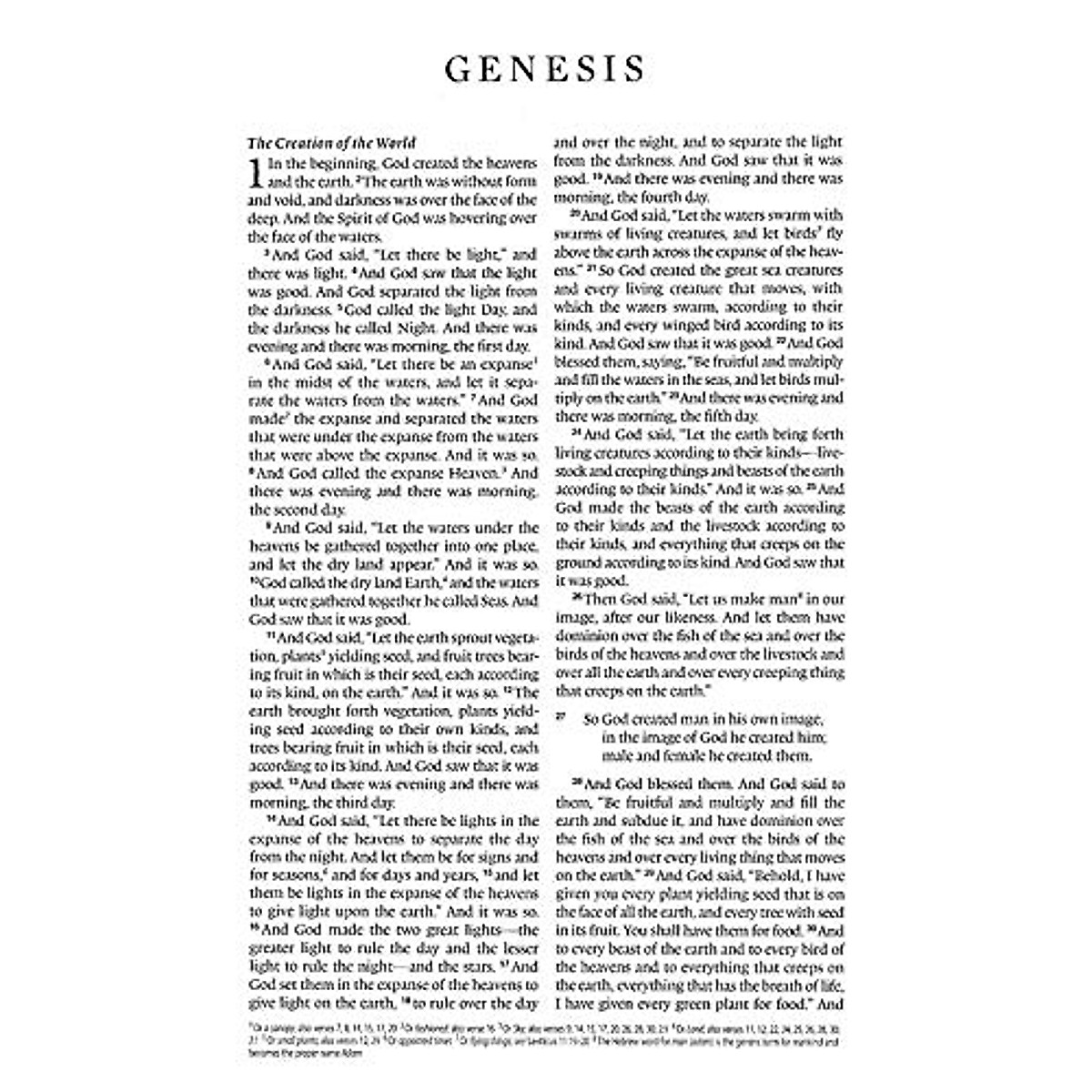 Personalized Custom Text Your Name ESV Premium Gift Holy Bible TruTone Midnight Flame Black English Standard Version Custom Made Gift for Baptism Christenings Birthdays Celebrations