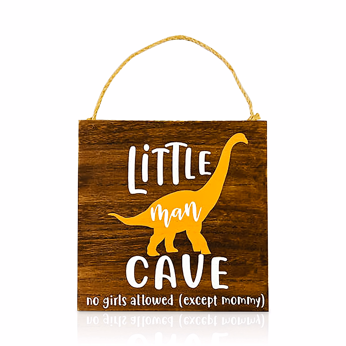 HnJOY Little Man Cave - Dinosaur Wood Wall Decor - Boys Room Decoration - Nursery Decor for Boys Gift Bedroom - Wooden Door Hanging Wall Plague