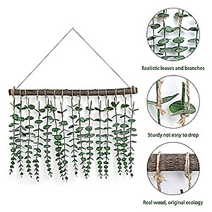 Artflower Eucalyptus Hanging Wall Decor, Artificial Eucalyptus Vines and Greenery Wall Hanging Plants Farmhouse Boho Wall Decor for Bedroom, Kitchen, Office and Bathroom(19.7" x 10")