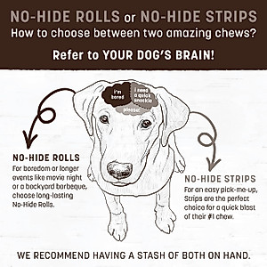 Earth Animal No Hide Stix Salmon Flavored Natural Rawhide Free Dog Chews Long Lasting Dog Chew Sticks | Dog Treats for Small Dogs and Cats | Great Dog Chews for Aggressive Chewers (1 Pack)