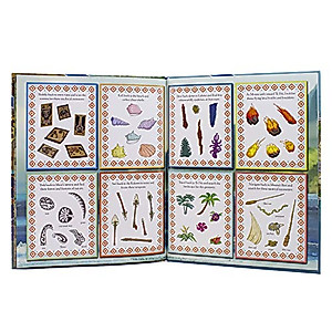 Disney Moana Look and Find Activity Book - PI Kids