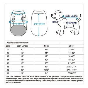 Blueberry Pet 2023 New Heart Dog Sweater Valentine’s Day Clothes for Small Girl Dogs, Hot Pink Pullover Crewneck Holiday Apparel, Back Length 8”