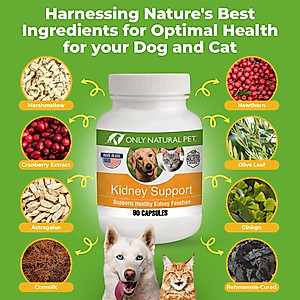 ONLY NATURAL PET Kidney Support Supplement | Supports Urinary Tract & Bladder Health w/Cranberry Extract | Incontinence Prevention (Capsules May be Opened and Contents Mixed w/Food) - 90 Capsules