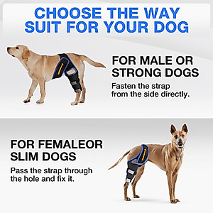 MASBRILL Dog Knee Brace, Adjustable Dog Brace Protector Pads for Back Leg,ACL Hind Leg Brace for Dog Cruciate Ligament Care Knee Brace for Dogs Rear Leg, Joint Pain and Muscle Sore