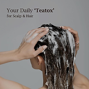 BRITISH M Kombucha Shampoo 25.36 fl. oz – Scalp Detox, Hydrate & Strengthen, Promote Hair Growth, Paraben & Sulfate-Free, Vegan Formula for All Hair Types