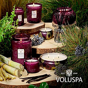 Voluspa Santiago Huckleberry, Large Candle Jar, 18 oz, 100 Hour Burn Time, All Natural Wicks and Coconut Wax for Clean Burning, Vegan, Poured in the USA