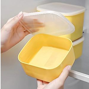 wulikanhua 2 Pack-Cold Dish Storage Container, Deli Meat Container Cold Cuts Fridge Keeper, Cheese Food Storage Container with Lid for Refrigerator, Shallow Low Profile Christmas Cookie Holder