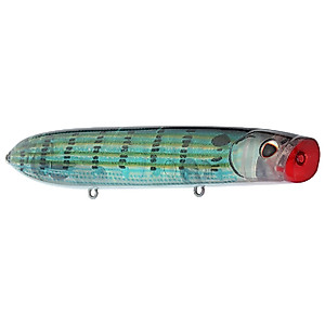 Berkley Cane Walker Topwater Fishing Lure, Pinfish, 4/5 oz, 125mm Topwater, Heavy Tail Weight for Long-Distance Casting, Equipped with Fusion19 Hook