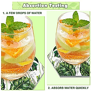 6 Pcs Plant Coasters with Holder Gold Absorbent, Drink Coasters Hexagon Farmhouse Ceramic Table Coaster Set Cute Coasters, Decorative Bar Wine Coasters Coffee Cup Coasters, Greenery Leaves Design