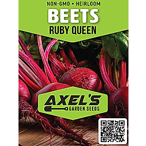 Beet Seeds for Planting - Non-GMO Heirloom Seed Packets with ...