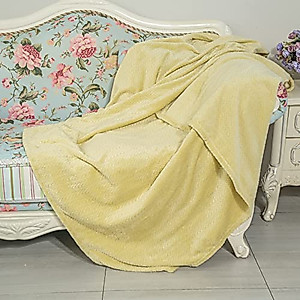 Devirld Soft Throw Blanket Fleece Blanket Fluffy Blankets Warm Plush Fuzzy Throws for Couch Bed Sofa, Yellow, Throw(50"x60")