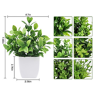 Der Rose 6 Pack Fake Plants Mini Artificial Plants for Home Office Farmhouse Bathroom Shelf Decor Indoor